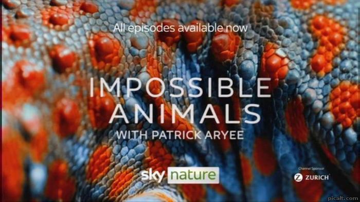 IMPOSSIBLE ANIMALS WITH PATRICK ARYEE All episodes available now sky nature - Picalt