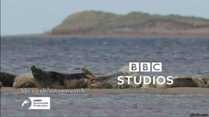 bbc.co.uk/autumnwatch BBC STUDIOS Natural History Unit BBC MMXX - Picalt